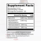 high potency vitamin B12 supplement