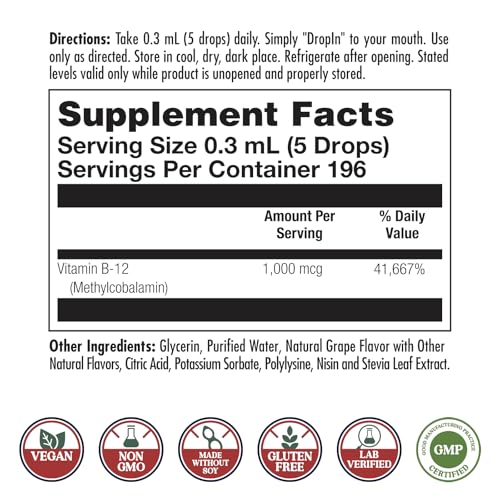 high potency vitamin B12 supplement