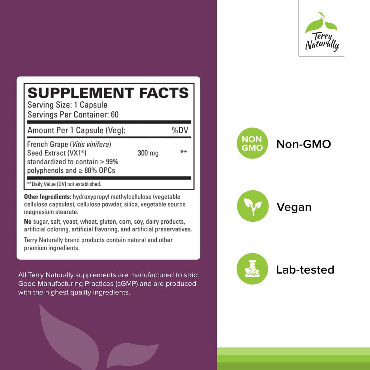 high potency vitamin C capsules