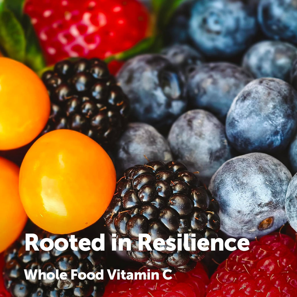 High potency vitamin C complex formula