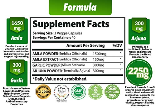 high potency vitamin C supplement