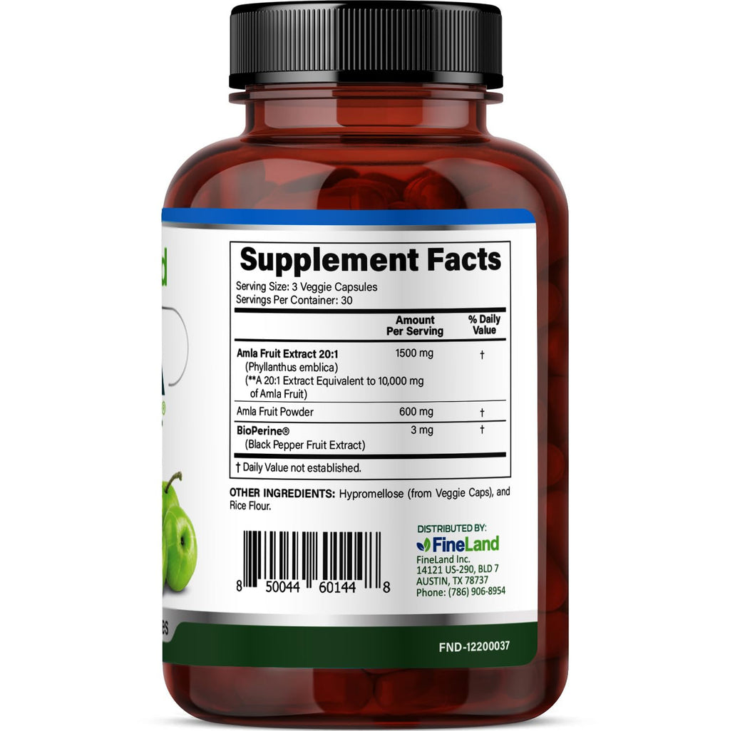 high potency vitamin C supplement