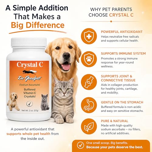 high potency vitamin C supplement