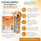 high potency vitamin C supplement