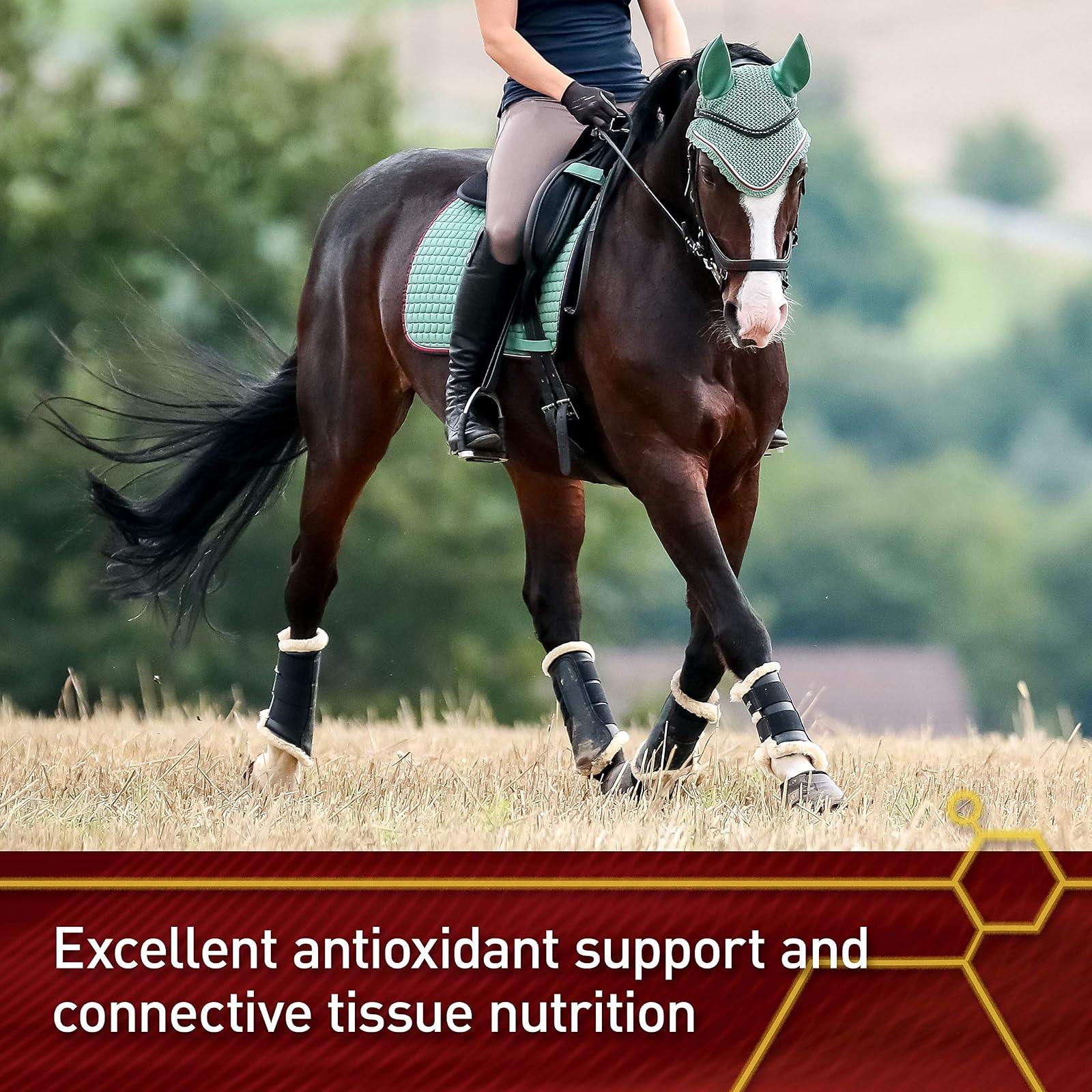 high potency vitamin C supplement