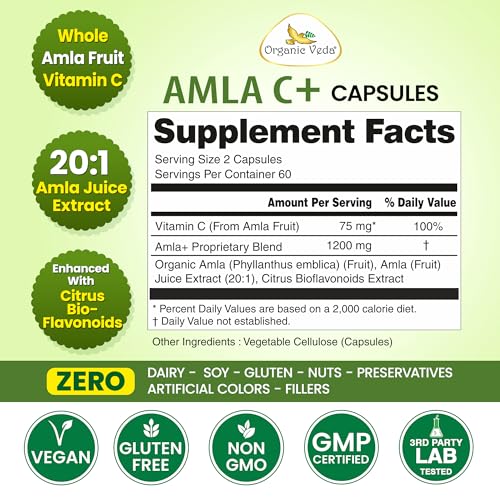 High potency vitamin C supplement