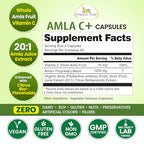 High potency vitamin C supplement