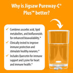 high potency vitamin C supplement