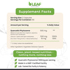 high potency vitamin C supplement