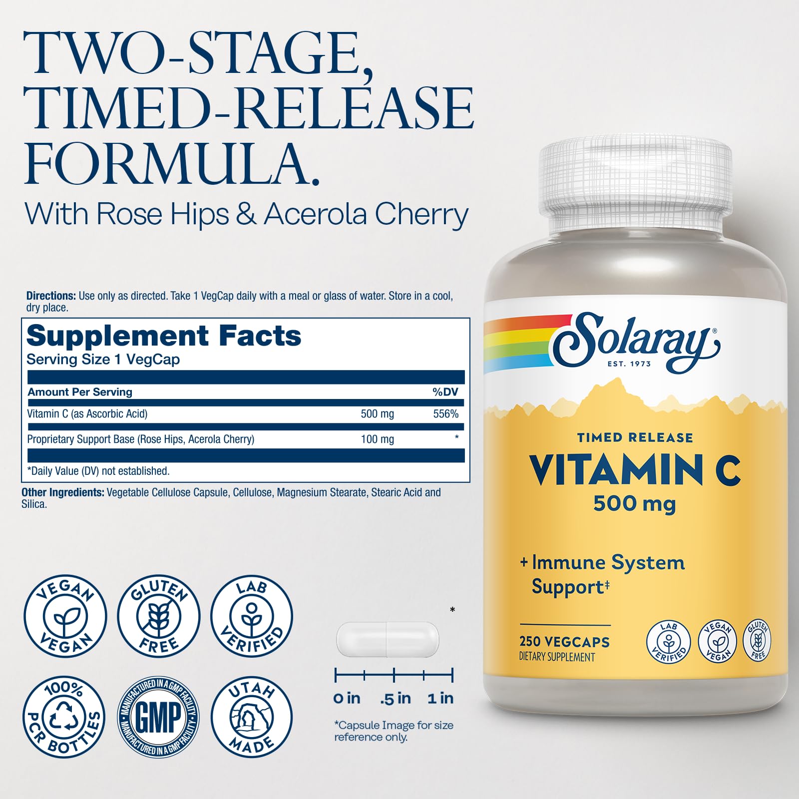 high potency vitamin C supplement