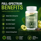 High potency Vitamin C supplement
