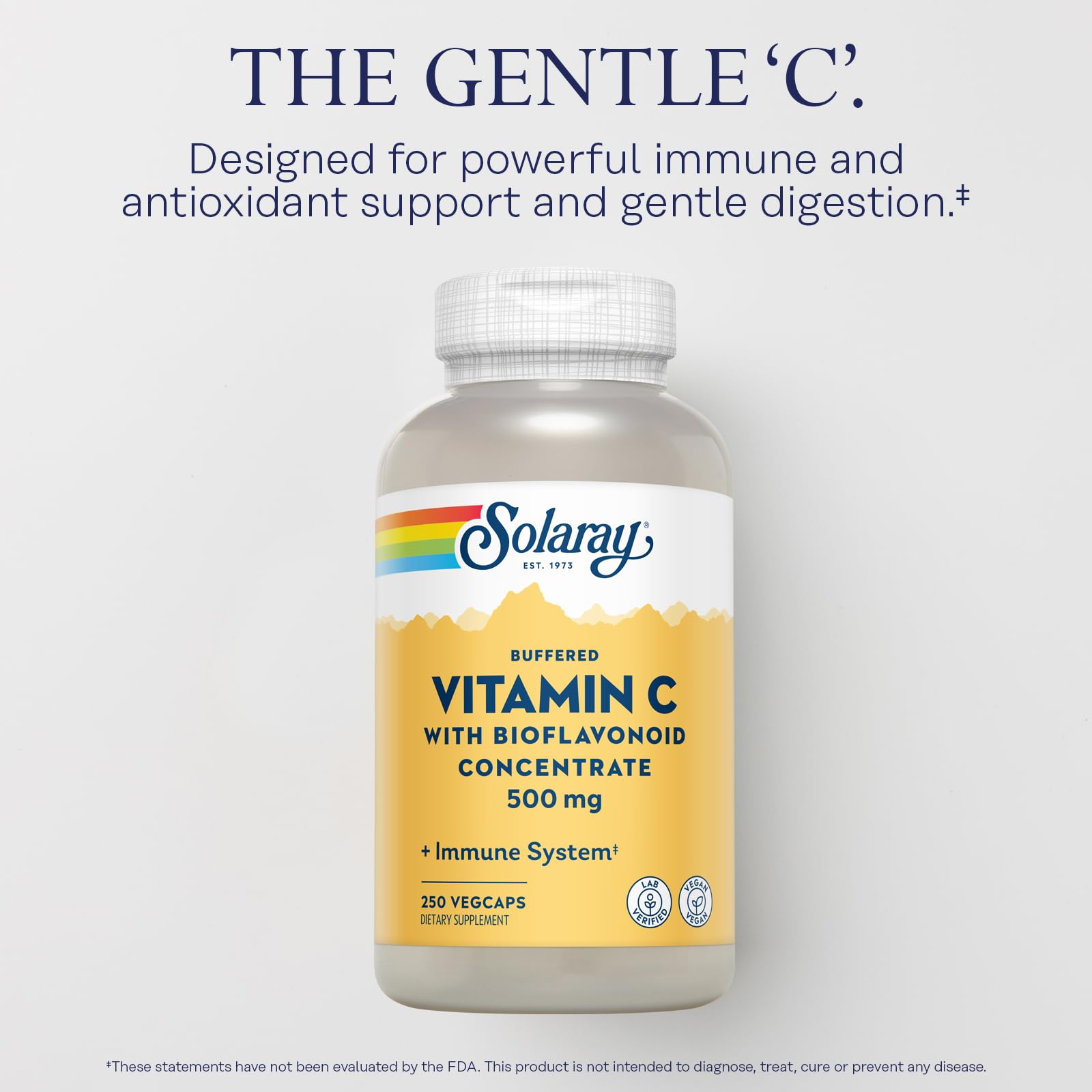 High potency vitamin C supplement