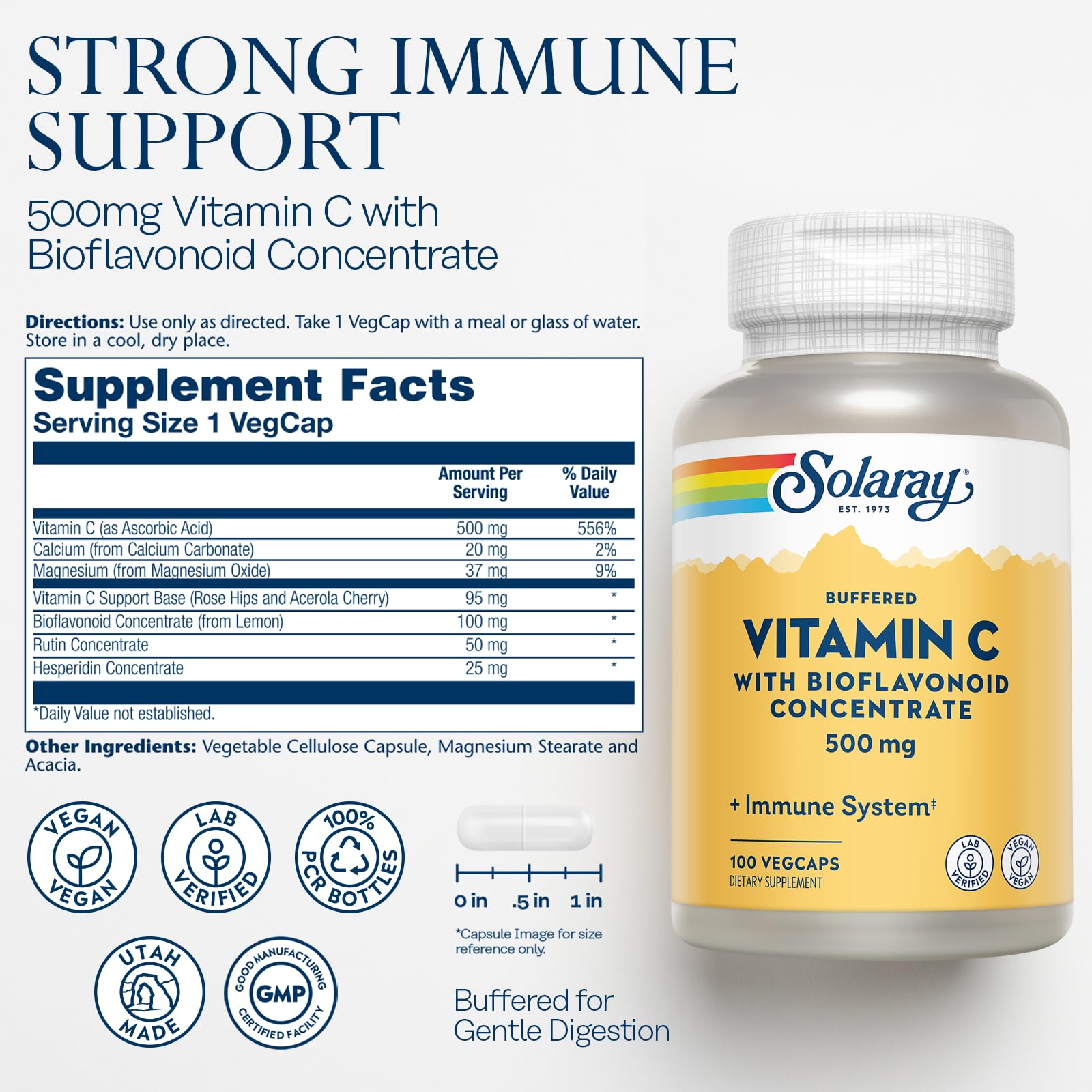 High potency vitamin C supplement
