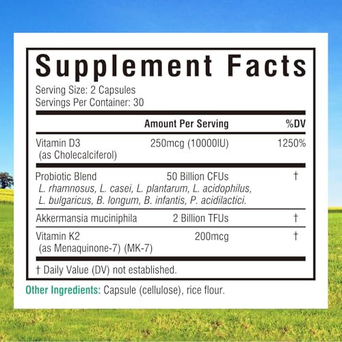 high potency vitamin D supplement