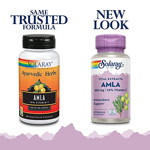 high potency vitamin supplement for wellness