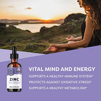 high potency zinc for immune support