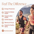 high potency zinc picolinate