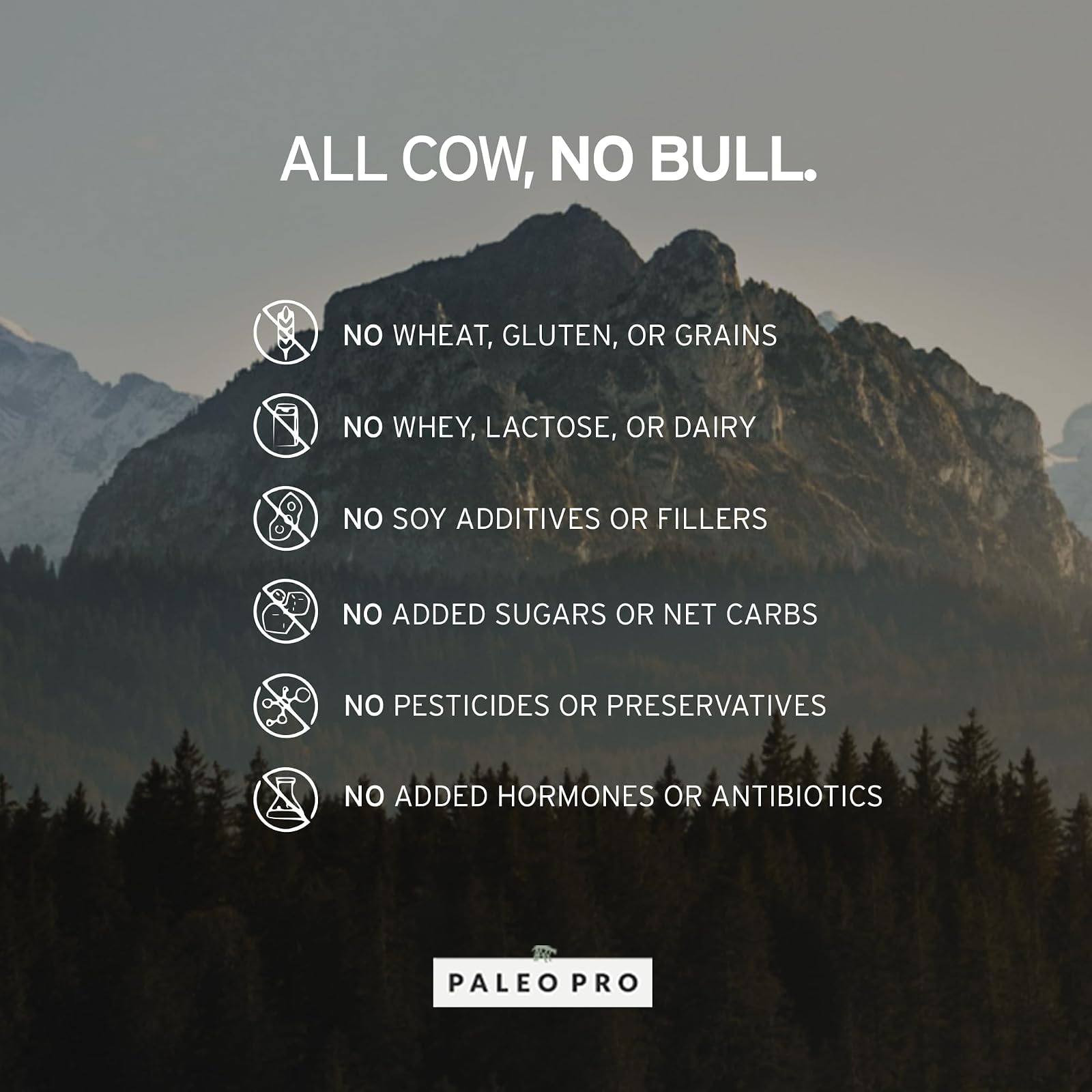 high protein beef powder supplement