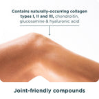 high protein bone broth powder