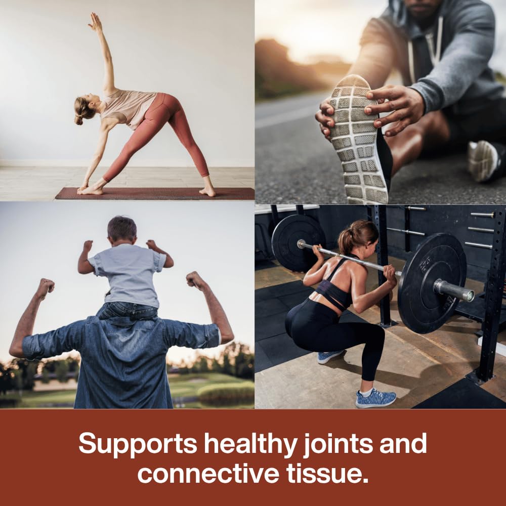 high protein bone broth supplement