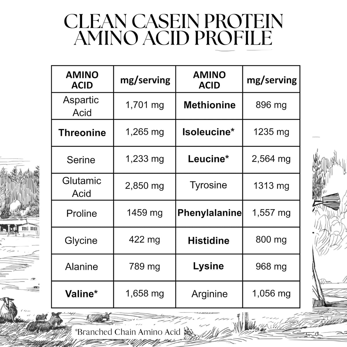 High protein casein supplement
