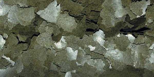 high-protein chlorella spirulina flakes