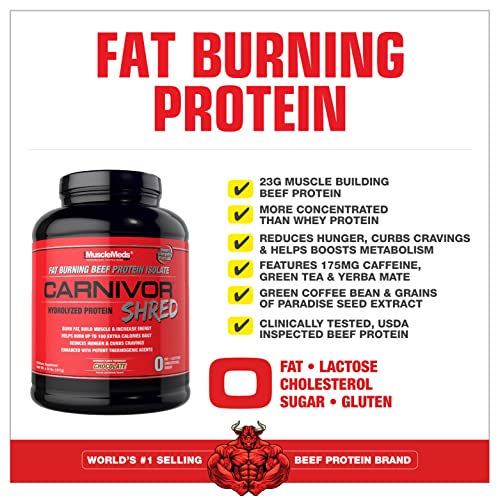 high protein chocolate flavour supplement