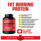 high protein chocolate flavour supplement