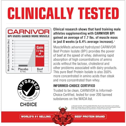 high protein chocolate powder supplement