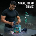 high protein chocolate shake mix