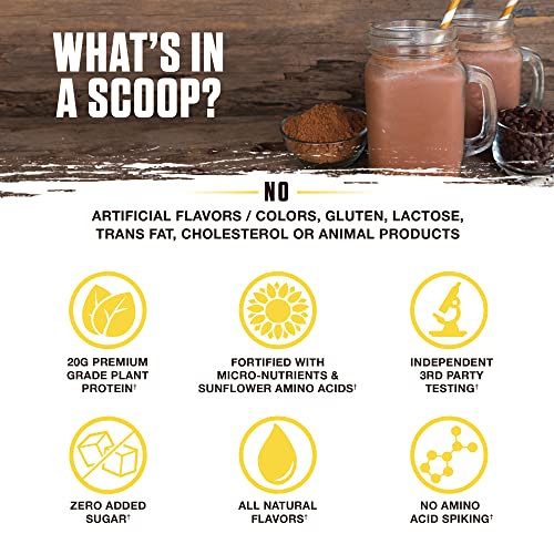 High protein content for muscle gain