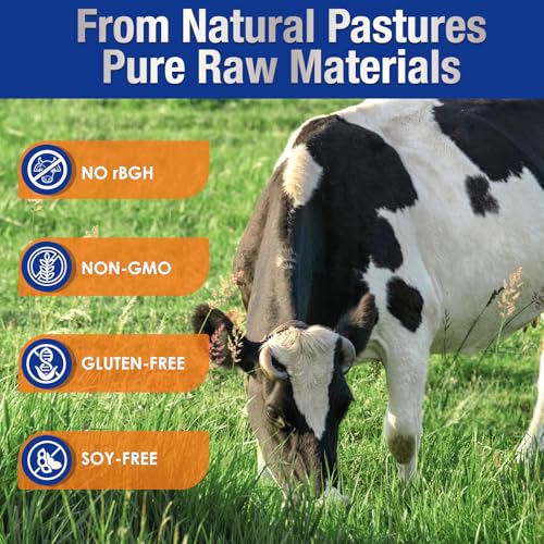 high protein content for muscle gain