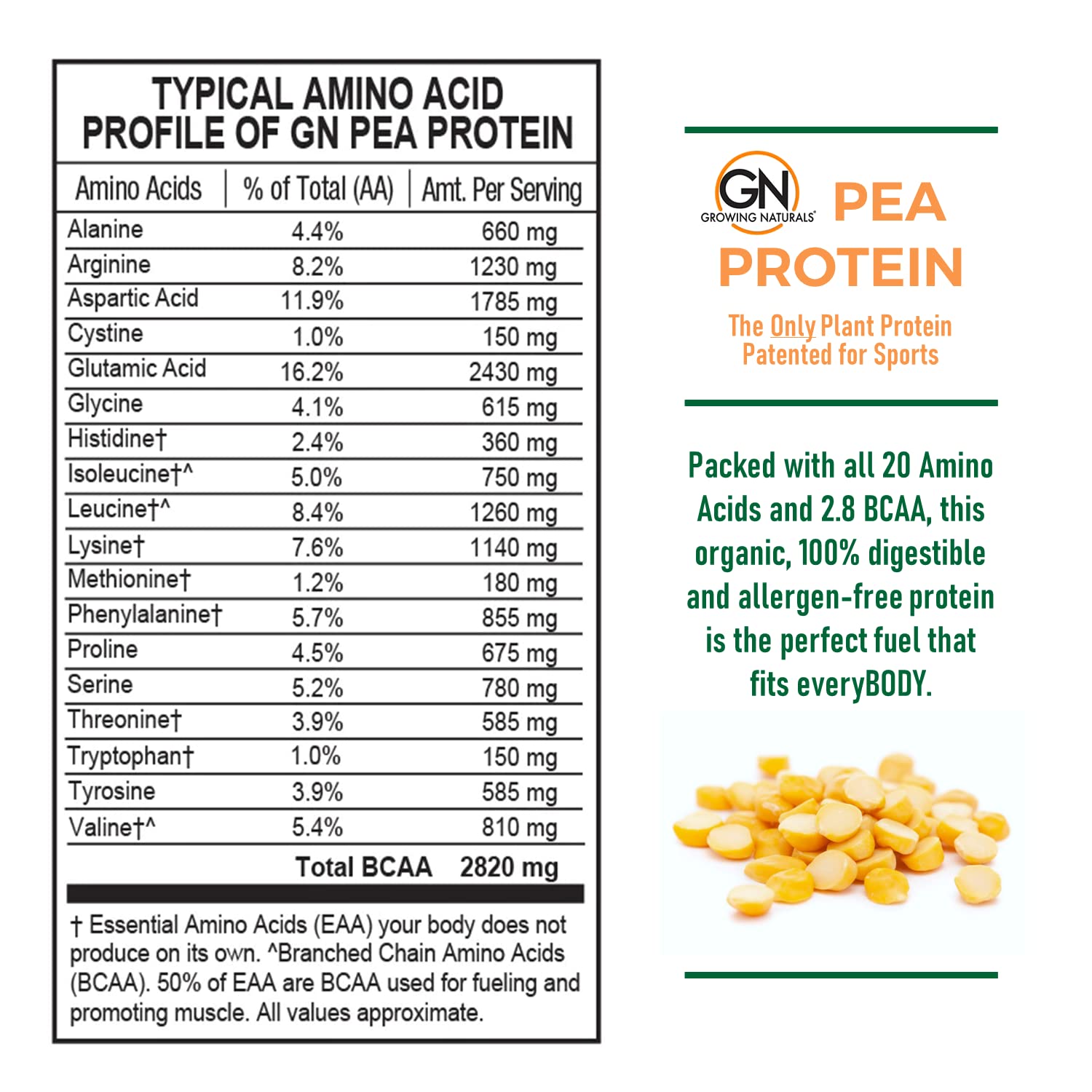 high protein content pea protein