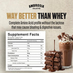 high protein content pea protein
