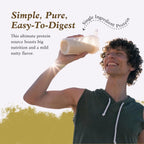 high protein content Sacha Inchi powder