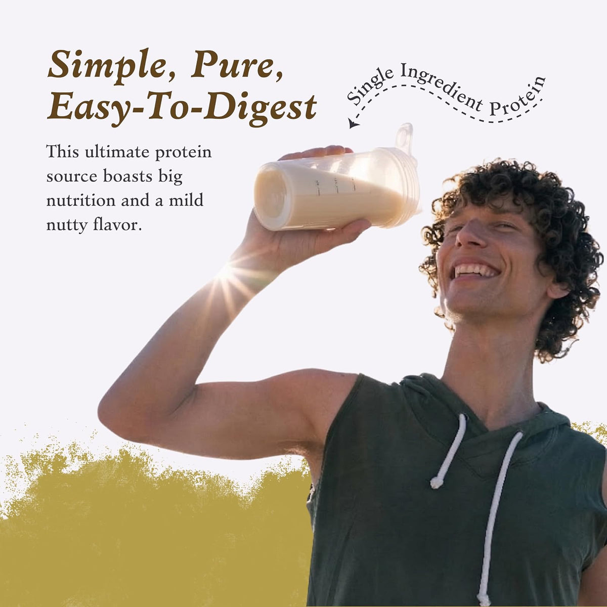 high protein content Sacha Inchi powder