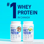 high protein content whey powder