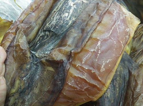 high-protein cuttlefish for active lifestyle