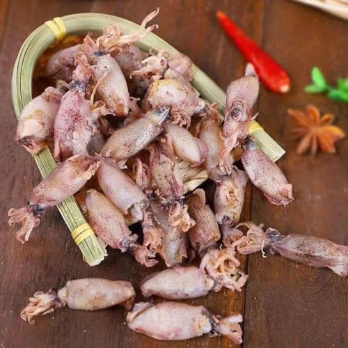 high-protein dried cuttlefish option