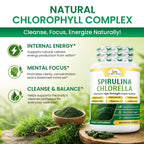 High protein organic spirulina capsules