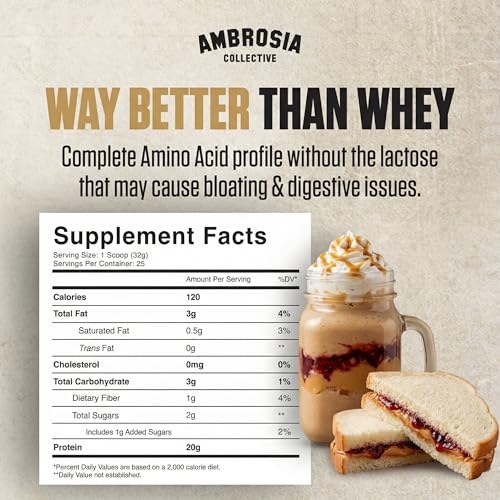 high protein pea powder for smoothies