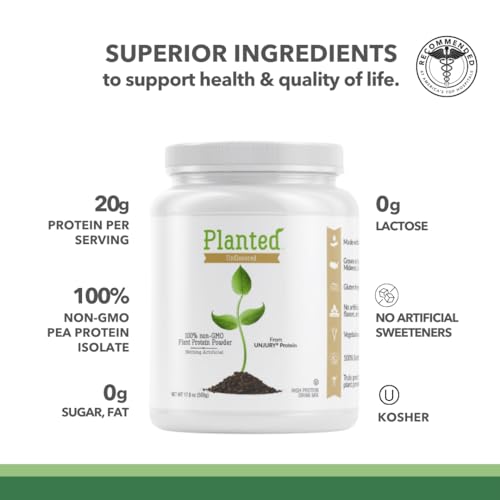 high protein pea protein isolate