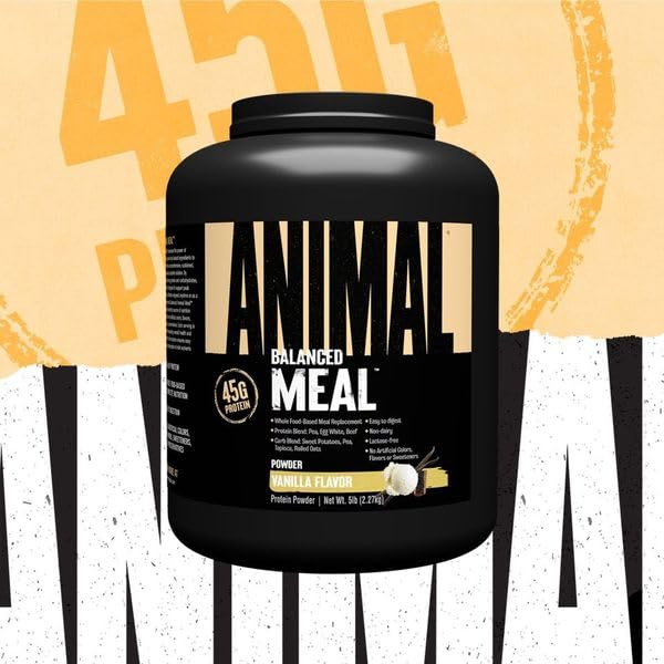 high protein plant based powder