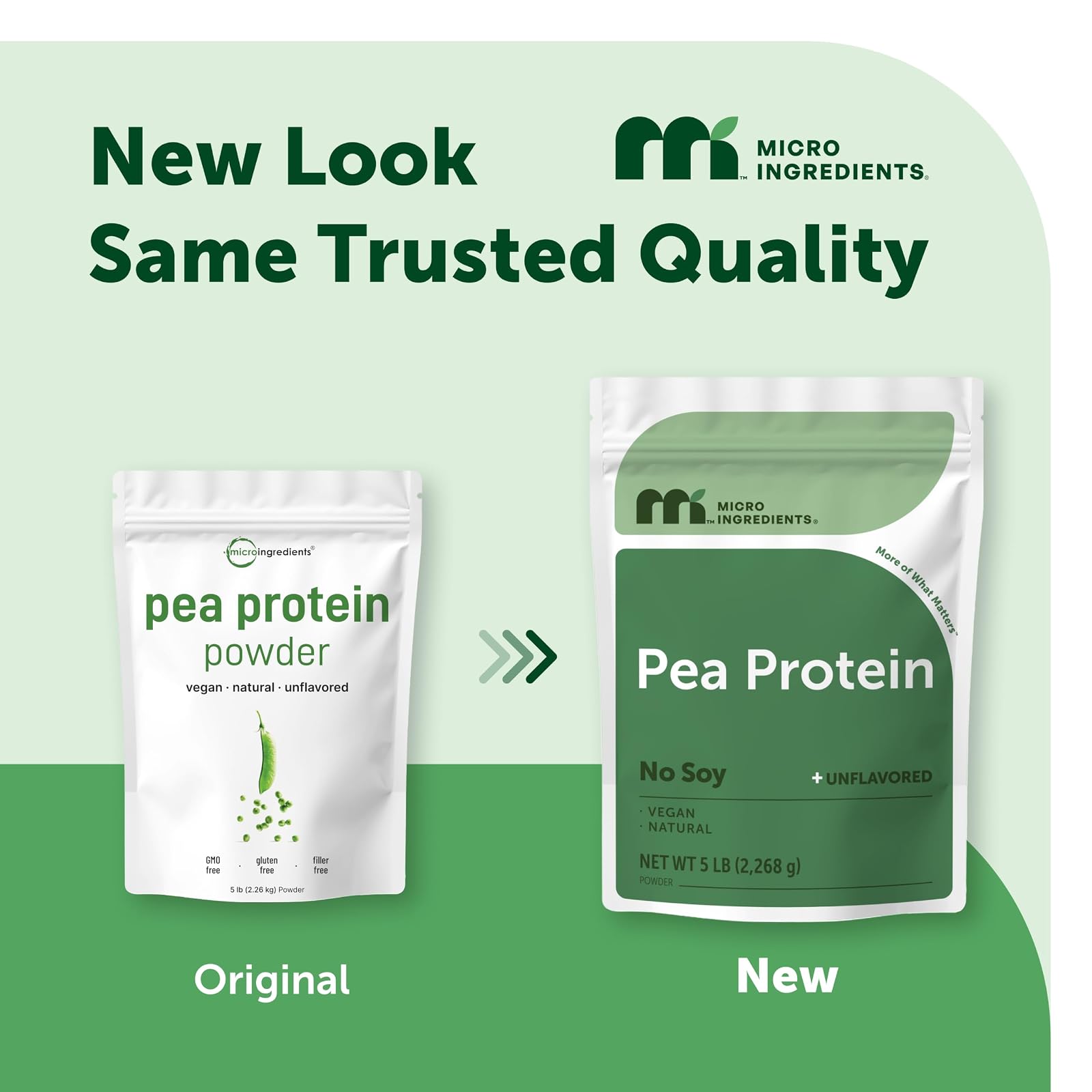 high protein plant based powder