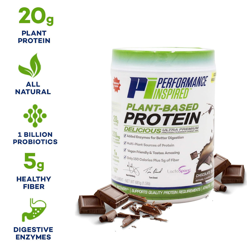 high protein plant based powder