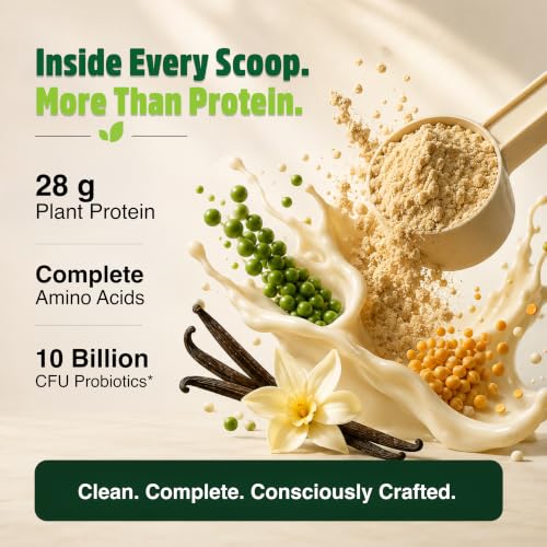 high protein plant powder for snacks