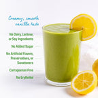 high protein plant protein for smoothies
