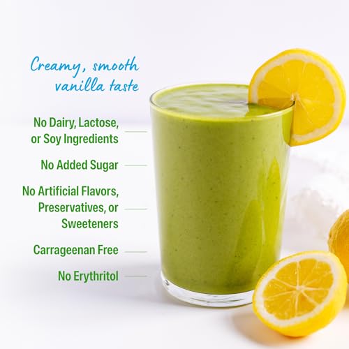 high protein plant protein for smoothies
