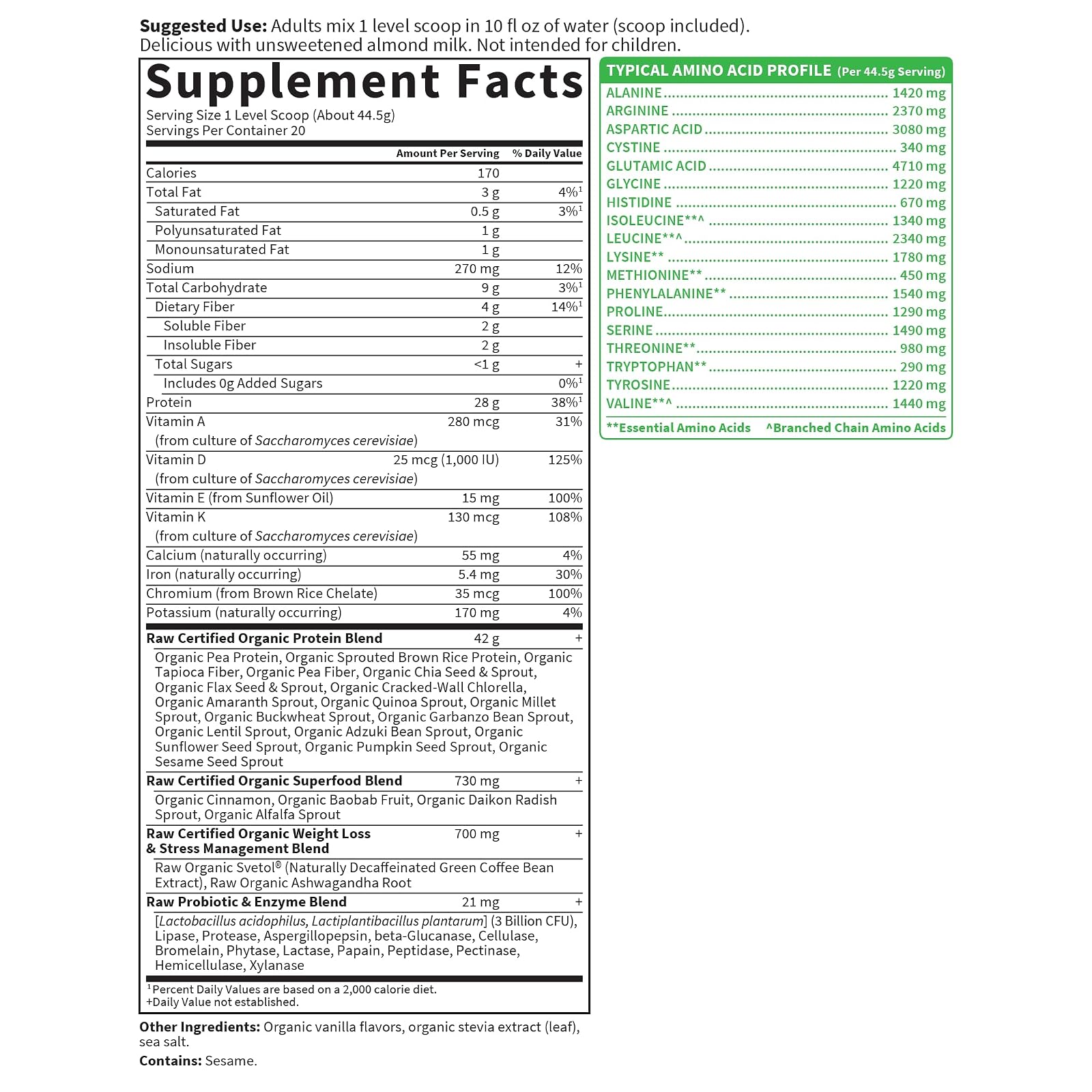 high protein plant protein powder