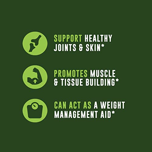 high protein powder for athletes